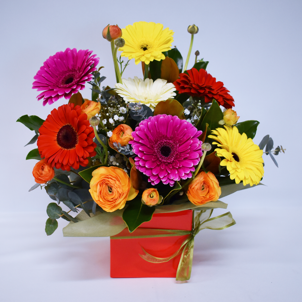 Colour Pop Gerbera Box | Melissa's Florist & Gifts - Same Day Birthday ...