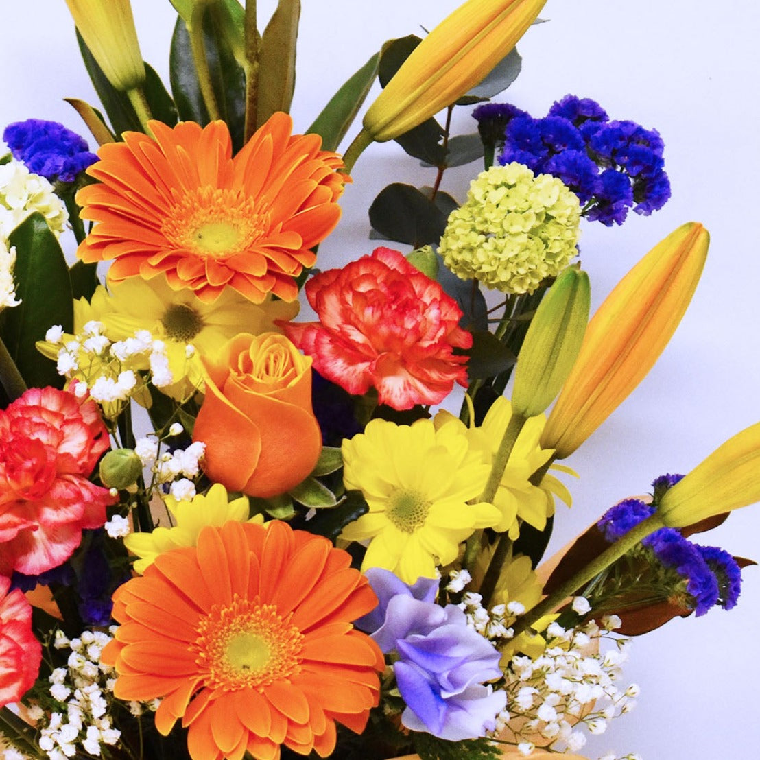 Orange Colour Pop Gerbera Box | Melissa's Florist & Gifts - Same Day ...