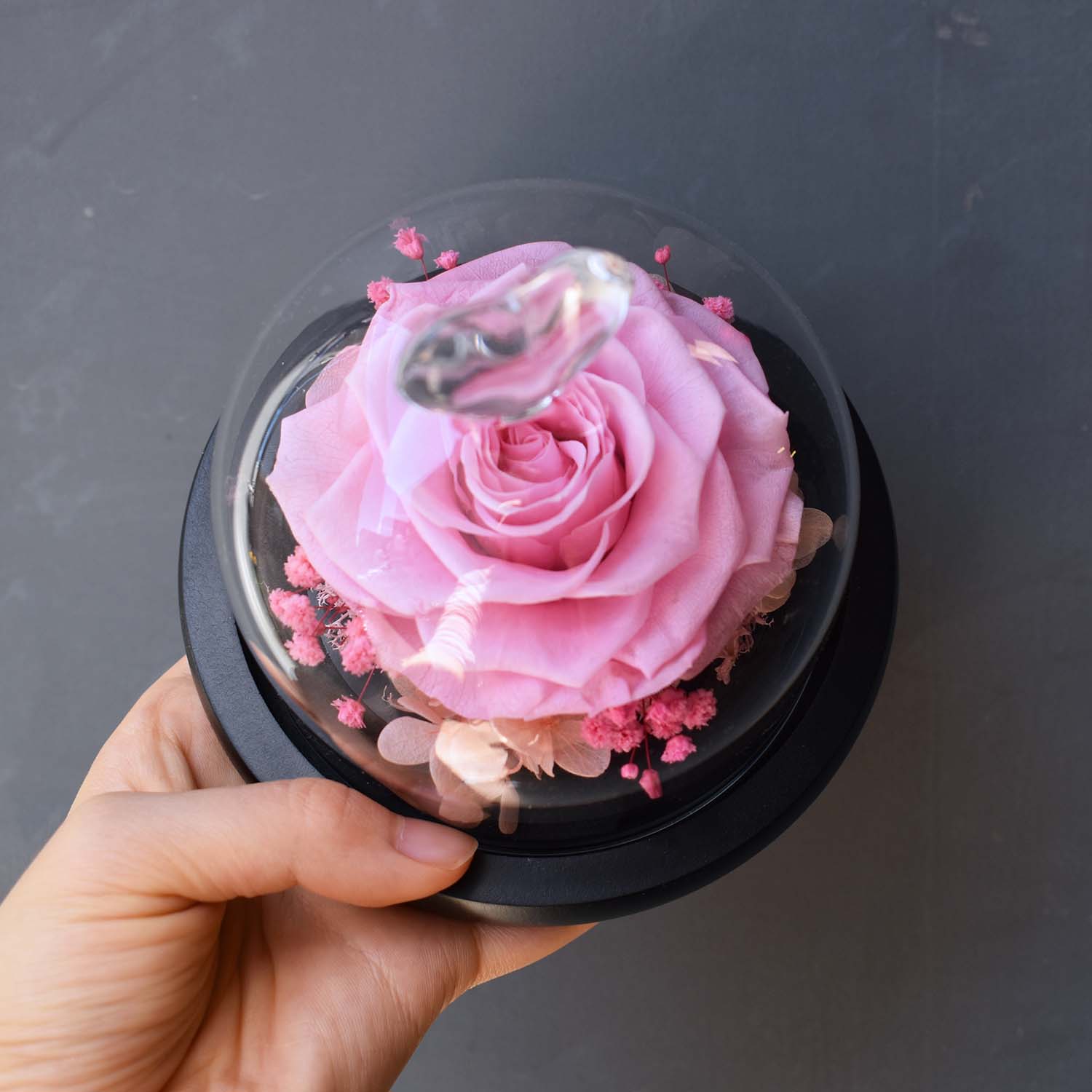 Valentine's Everlasting Red Rose Orb | Melissa's Florist & Gifts - Same ...